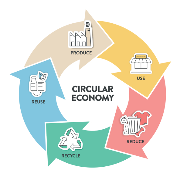 Innovations in Packaging Technology for a Circular Economy